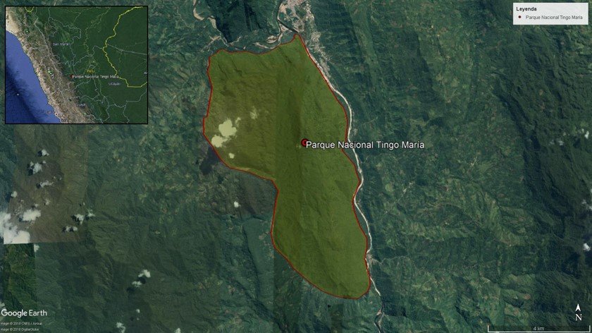 Parque Nacional Tingo María - AICOMs - Perú - Base de Datos